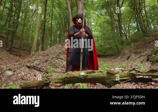 Death in the forest Stock Videos & Footage - HD and 4K Video Clips - Alamy