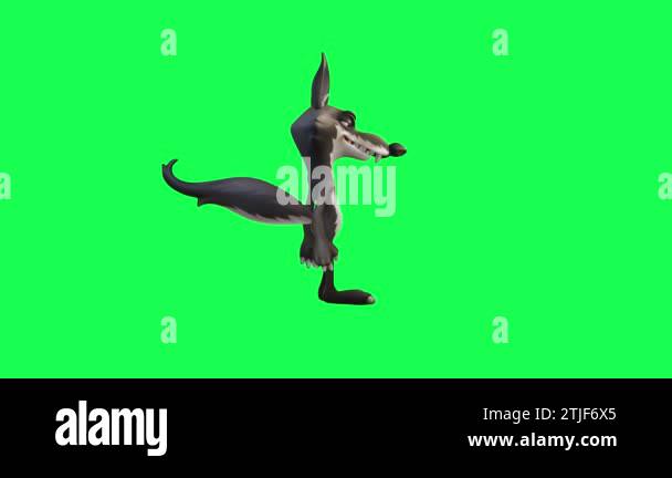 Cartoon animation of the northern wolf on the green screen talking and ...