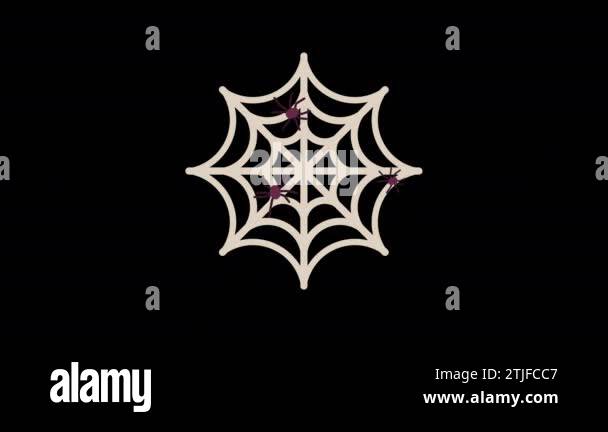 spider on spider web moving motion graphics video transparent ...