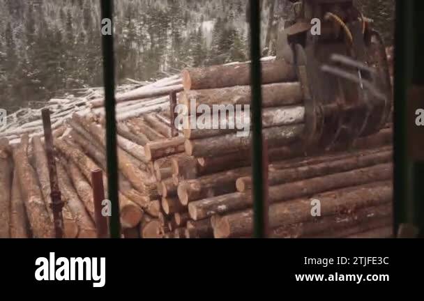 First person POV blue collar tradesman operates industrial timber ...