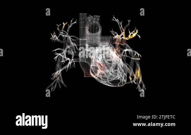 3D heart Scan. Heart Scanning Interface. HUD Heart analyze. Medical ...