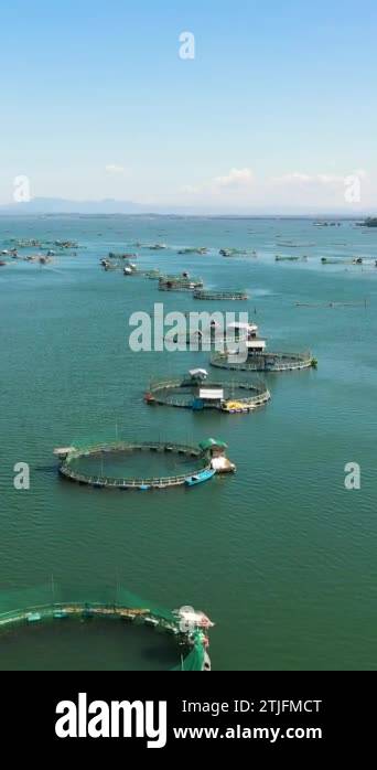 Fish farm with cages for fish and shrimp. Fish ponds for bangus ...