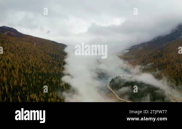 Fog slowly moving down big green forest Stock Video Footage - Alamy