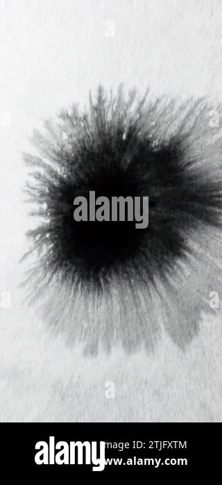 Vertical video. Ink drop water. Transition overlay. Watercolor paint ...