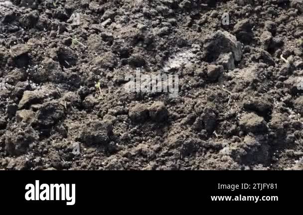 Granular mix Stock Videos & Footage - HD and 4K Video Clips - Alamy