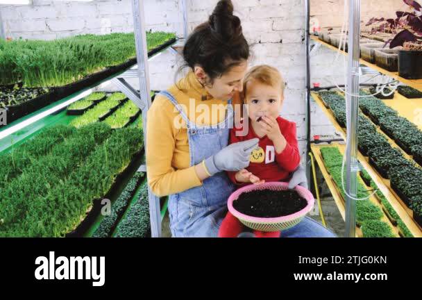 Woman with baby boy working on the indoor farm, planting microgreens ...