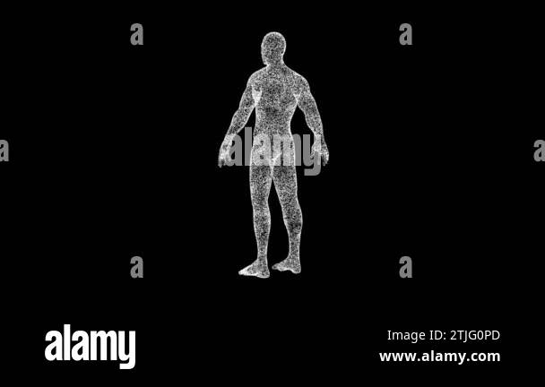 3d Human Body Rotates On Black Background Object Dissolved White Flickering Particles 60 Fps