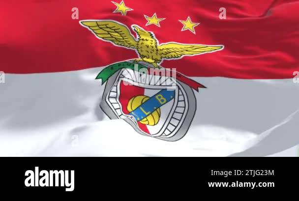 Pt eagle Stock Videos & Footage - HD and 4K Video Clips - Alamy