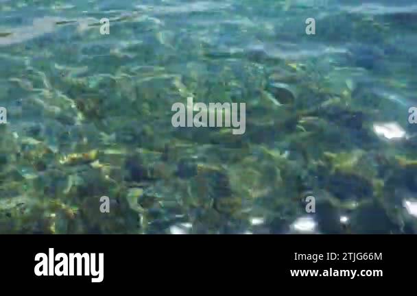 Green azure turquoise blue transparent sea texture. Water surface and ...