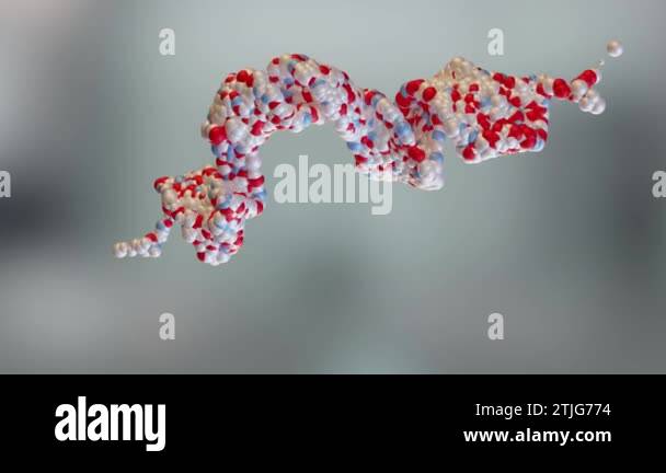 3D rendering of Glucagon-like peptide 1 (GLP1, 7-36) molecule, a potent ...