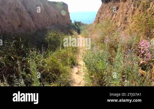 Person walking along dirt earthen path with green grass between mountains on seashore on sunny ...