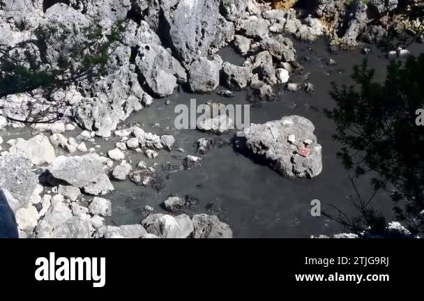 Stream with sewage and feces. The heavily polluted black waters of the ...