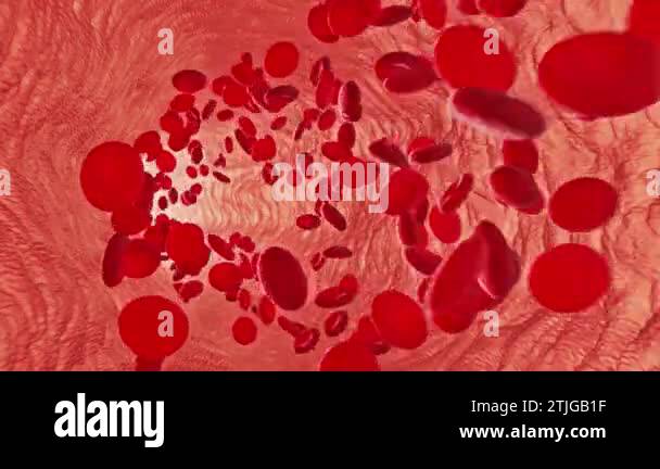 Red blood cells erythrocytes Stock Videos & Footage - HD and 4K Video ...