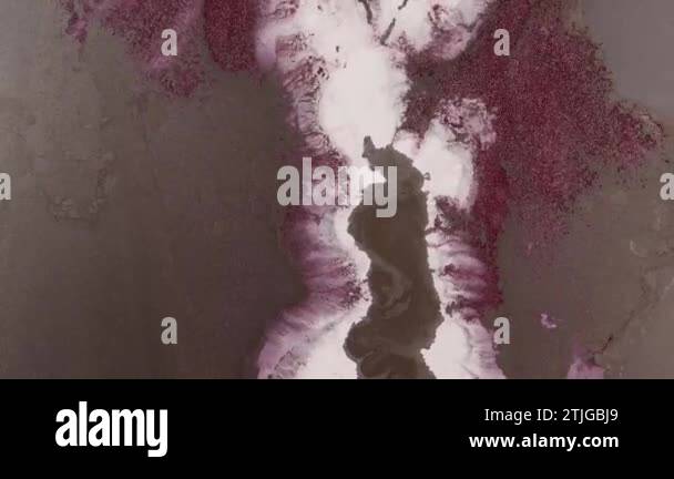 The resulting frame simultaneously resembles the depths of the sea and ...