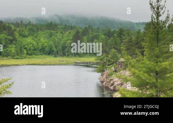 Time-lapse of fog and mist rising out of the forests of northern ...