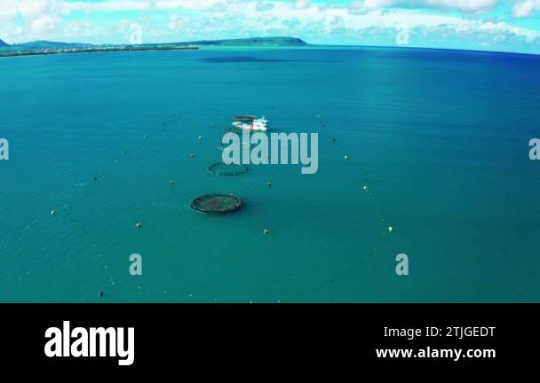 Circle cages Stock Videos & Footage - HD and 4K Video Clips - Alamy