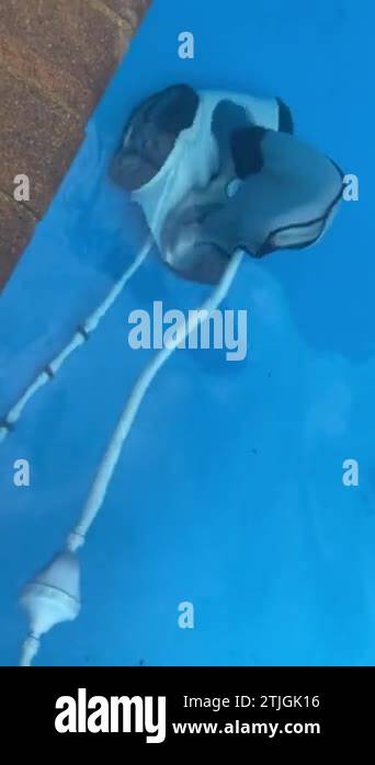 Self cleaning pool system Stock Videos & Footage - HD and 4K Video ...