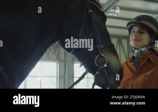 Standing horse rider talking woman Stock Videos & Footage - HD and 4K ...