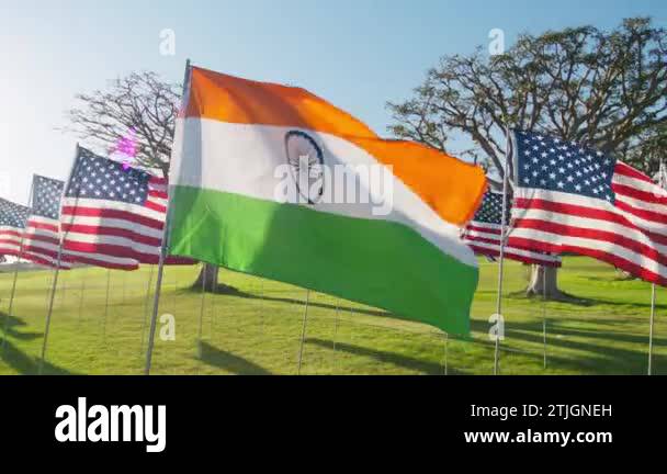 India flag flying with pride on green field among many flags of the USA ...