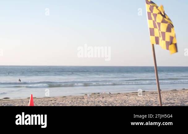 Black and yellow checkered warning flag by waves, California ocean ...