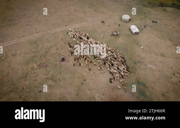 Mongolia nomad yurt aerial Stock Videos & Footage - HD and 4K Video ...