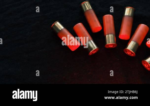 Red Shotgun shells on a black surface. Ammunition for 12 gauge ...