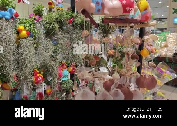 Perak, Malaysia.June 15, 2023 : Varieties of fresh decorative ...
