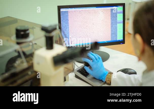 Scientist using microscope in laboratory Stock Videos & Footage - HD ...