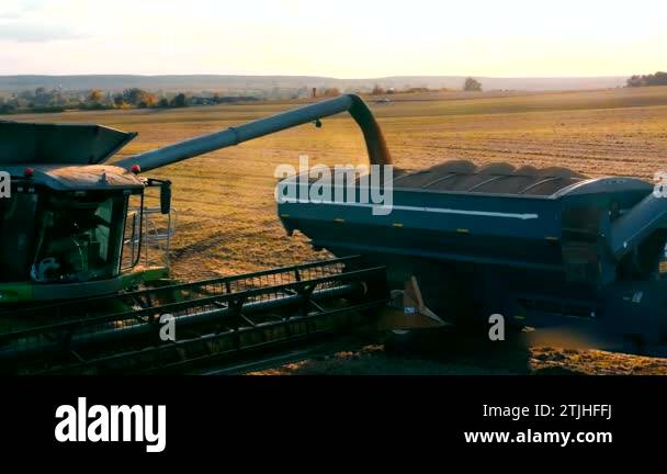 Agriculture growth farm rural scene crop transportation Stock Videos ...