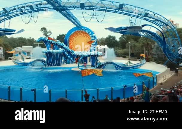 Killer Whales Perform During the Shamu Show at Sea World Orlando - One ...