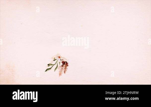 Vintage Postcard With Ink Flower Reveal/ 4k animation of a retro ...
