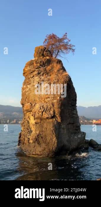 Glow sticks tree Stock Videos & Footage - HD and 4K Video Clips - Alamy