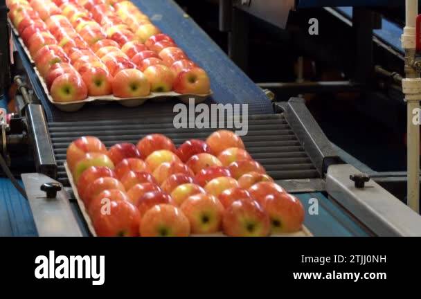 Fresh food distribution Stock Videos & Footage - HD and 4K Video Clips ...