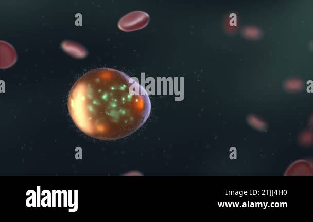 Loop able medical animation. Molecule of unknown origin inside the ...