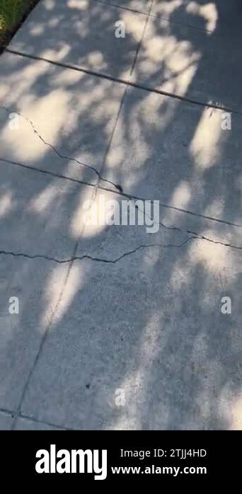 Overhead pattern Stock Videos & Footage - HD and 4K Video Clips - Alamy