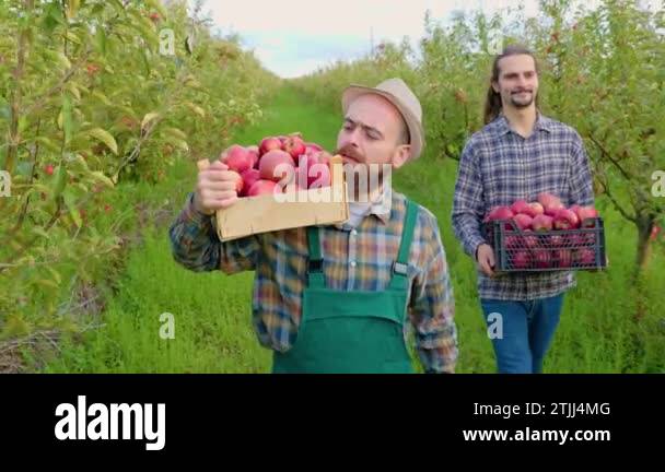 The rich brothers Stock Videos & Footage - HD and 4K Video Clips - Alamy