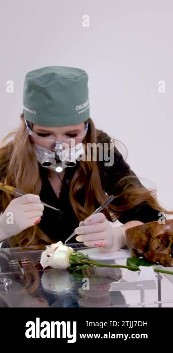 Doctor hand pointing heart anatomy human body model on white background ...