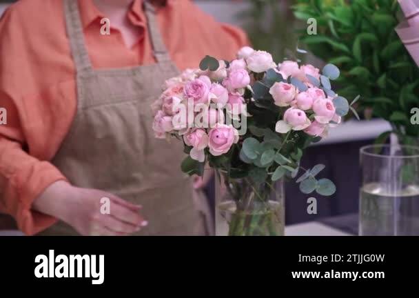 Unique pink rose Stock Videos & Footage - HD and 4K Video Clips - Alamy