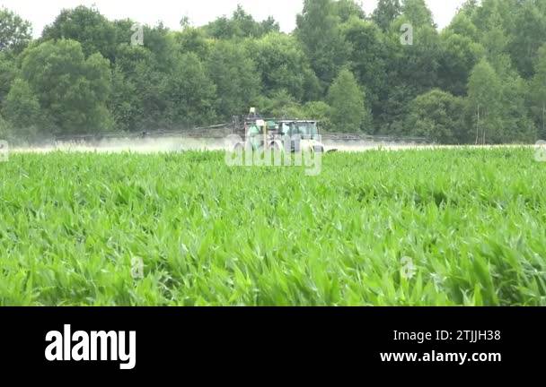 Tractor spray corn field with chemicals and cars on road. 4K Stock ...