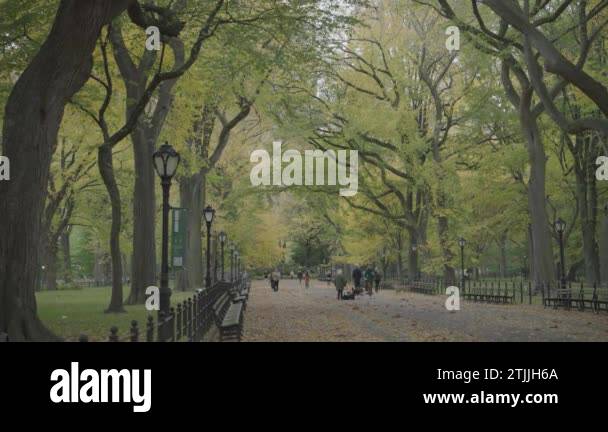 Fall Foliage Colors at Central Park - The Mall and Literary Walk ...