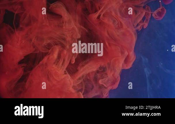 Ink water. Color smoke. Paint mix. Underwater explosion. Bright coral ...