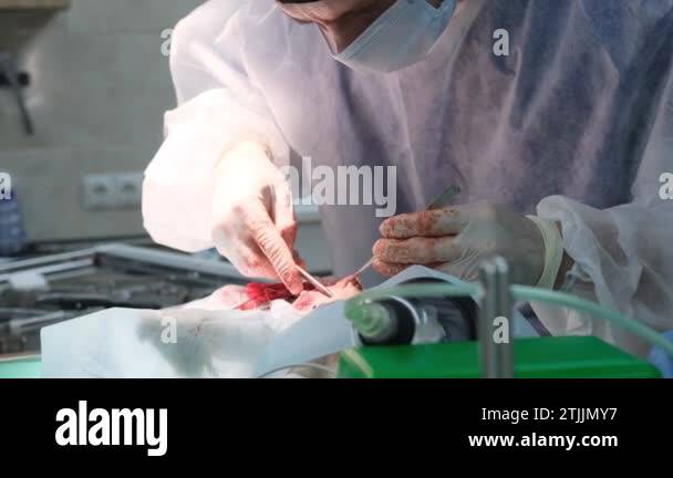 Surgical needles Stock Videos & Footage - HD and 4K Video Clips - Alamy
