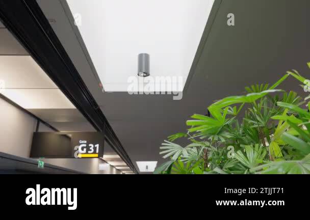 Tilting view of the camera showing the ceiling, plant, and lobby of a ...