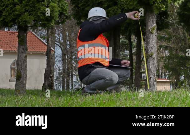 Tree measure Stock Videos & Footage - HD and 4K Video Clips - Alamy