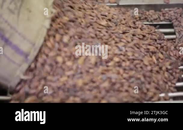 Sack of cocoa beans Stock Videos & Footage - HD and 4K Video Clips - Alamy