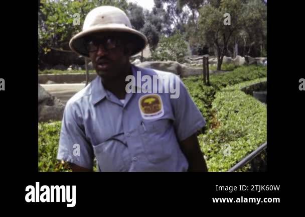 Zoo tour guide Stock Videos & Footage - HD and 4K Video Clips - Alamy