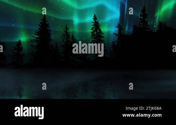 Aurora Borealis Lights over Pine Forest Silhouette 4K Loop features a pine forest silhouette ...