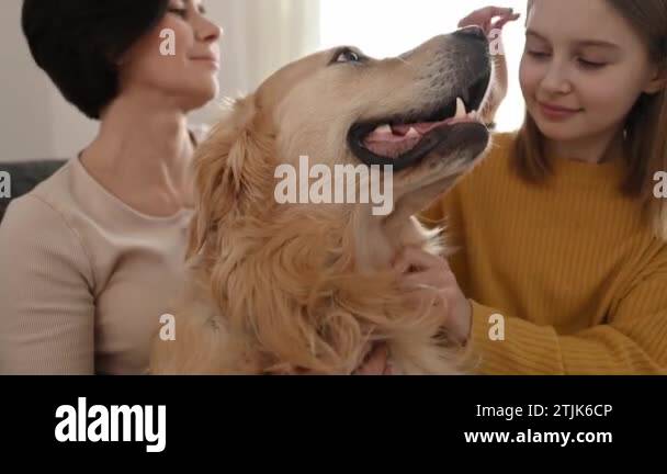 Mother and preteen girl daughter petting golden retriever dog sitting on sofa at home. Pretty ...