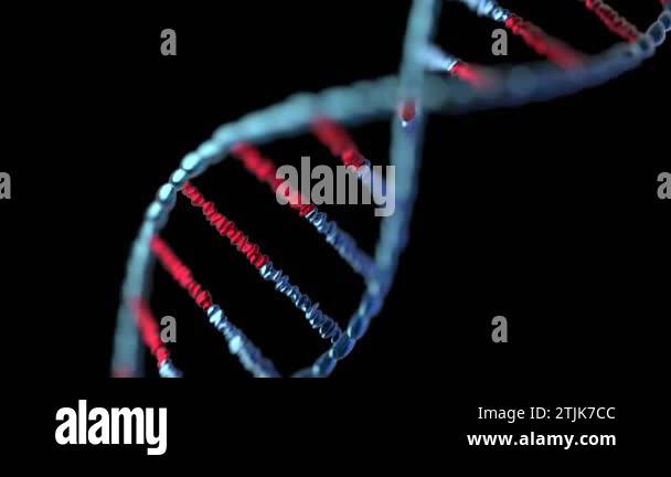 Rotating DNA chain - deoxyribonucleic acid on black black background ...