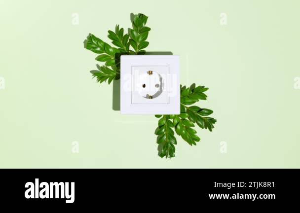 White electrical power socket and green leaves on green pastel ...